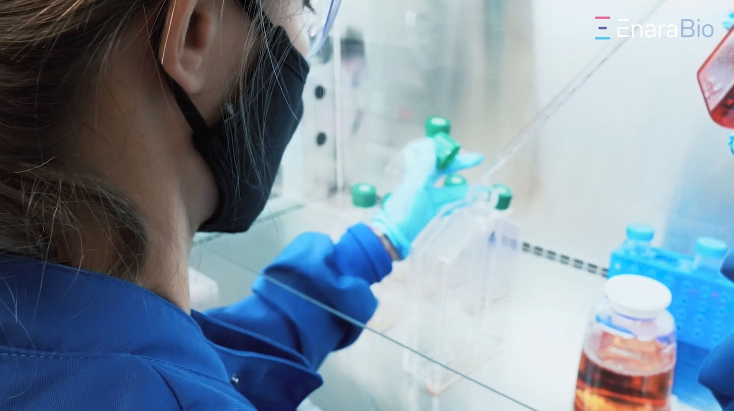 Advancing cancer immunotherapy by targeting the unconventional - Enara Bio