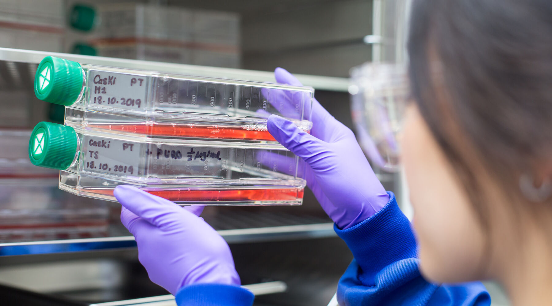 Ervaxx and Cardiff University enter collaboration to develop novel T ...